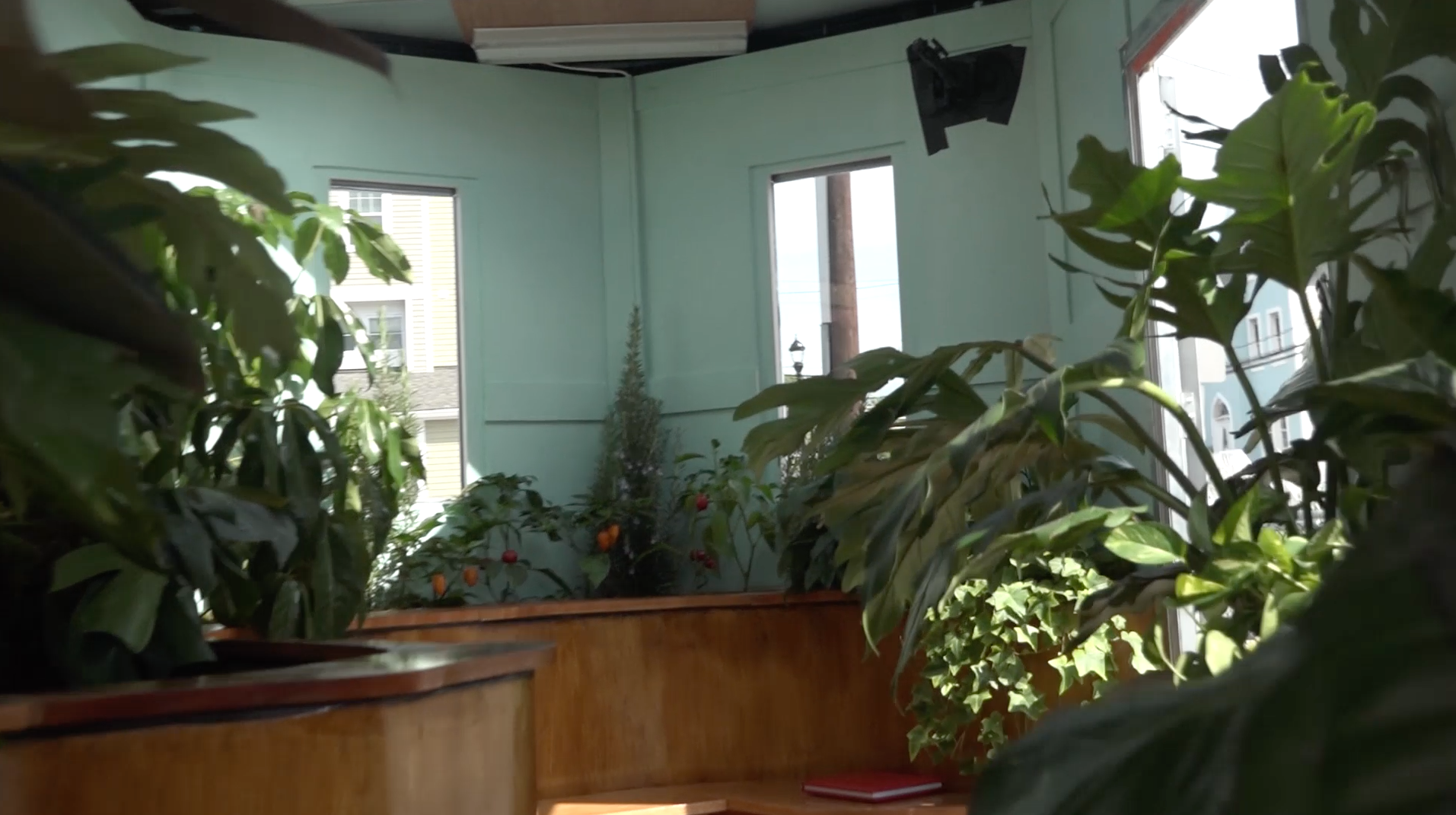 We brought our garden along for the ride. - Lycored - Nutrients, Colors ...