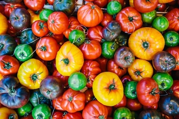 Lycored highlights research that shows tomato nutrient complex has skin ...