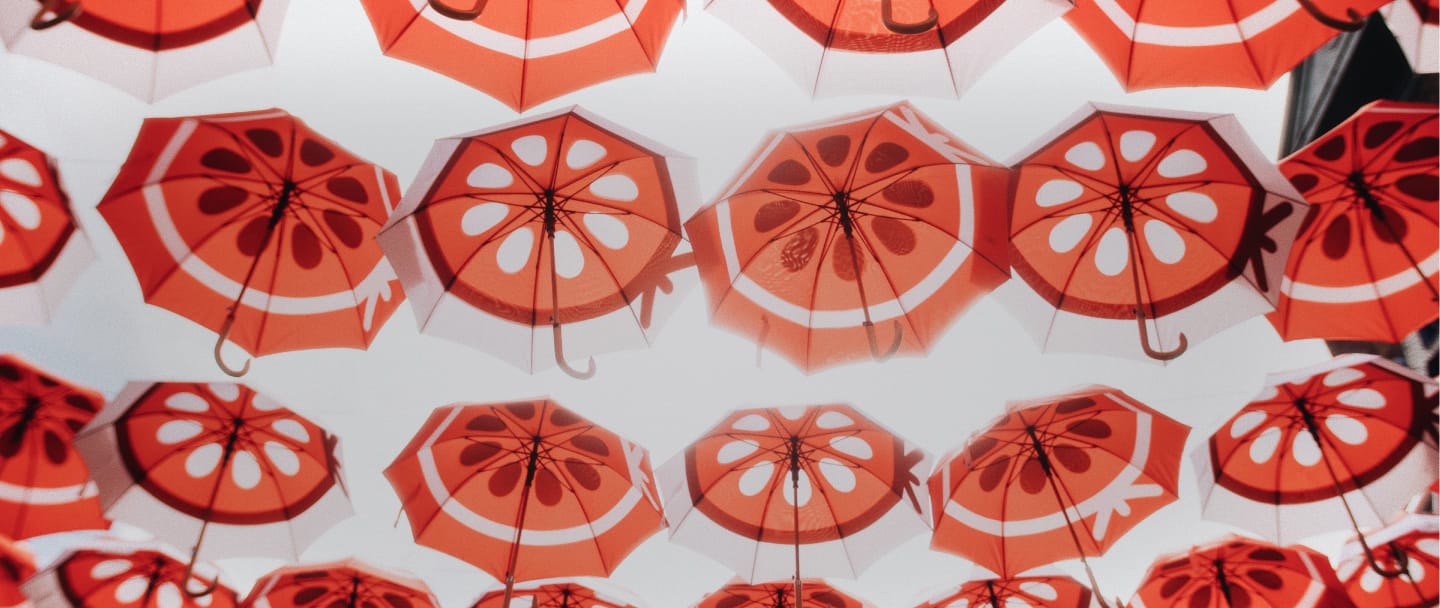 Skin Health -Carotenoids & Lycopene in Skincare – Lycored – Carotenoid ...