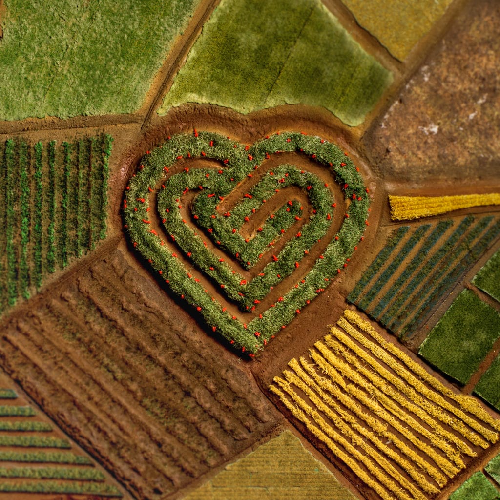 Time for a heart to heart. - Lycored - Nutrients, Colors & Taste