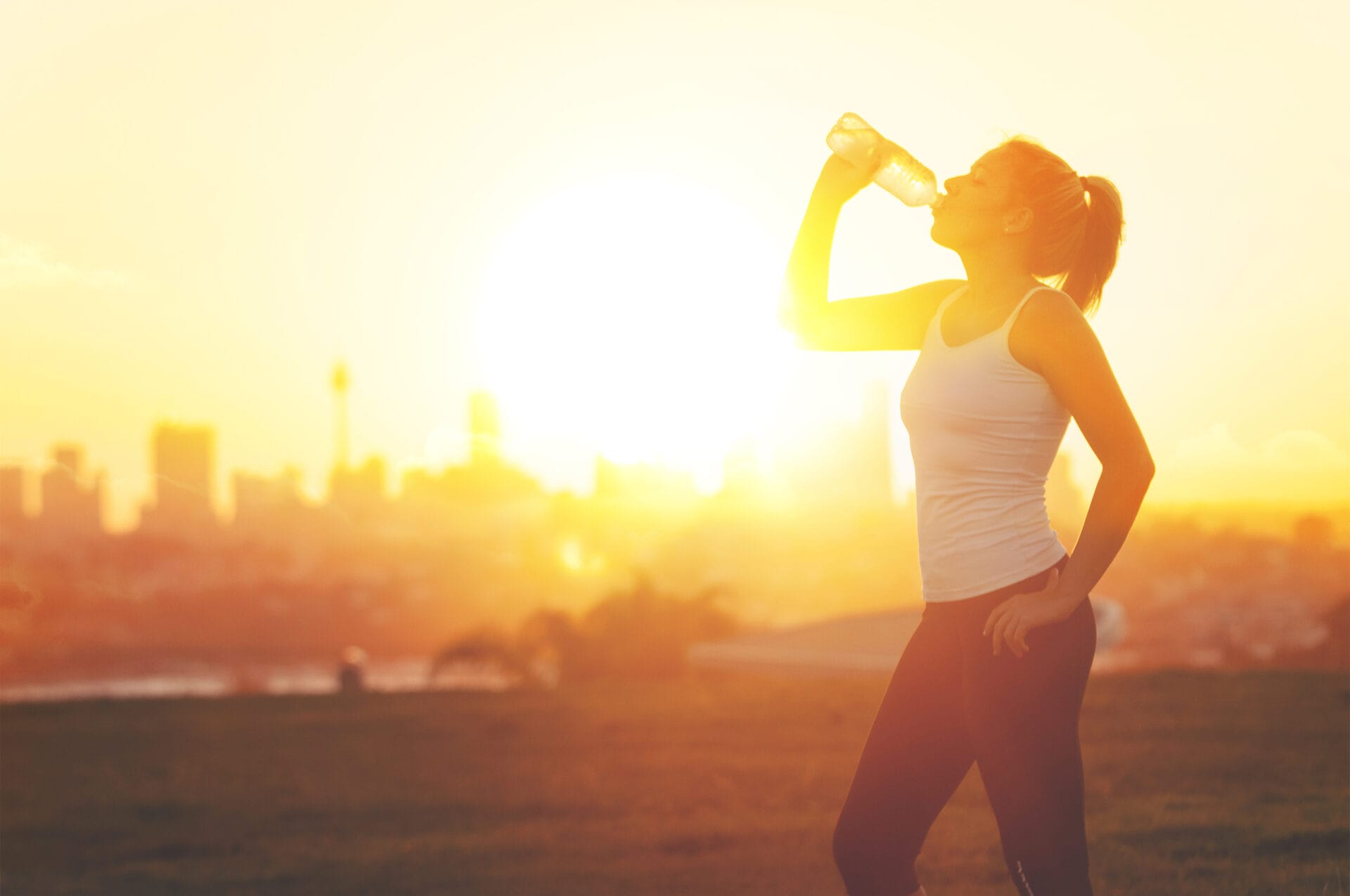 Lycored Unveils Superstable Color Emulsions at IFT FIRST: A New Era for ...